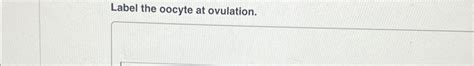 Solved Label The Oocyte At Ovulation