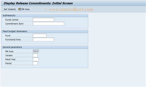 Fr08 Sap Tcode Display Release Commitments Transaction Code