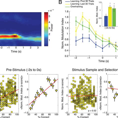 Theta Phase Modulation Of LG Amplitude Is Positively Related To Theta Download Scientific
