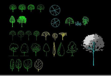 Trees And Shrubs Front And Top View Elevation And Plan D DWG Block For AutoCAD Designs CAD