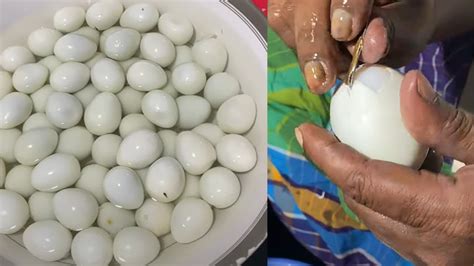 This Man Sells Extremely Healthy Street Boiled Egg Siddo Dim Youtube