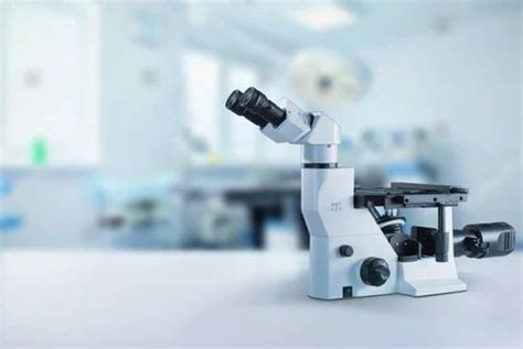 Labomed Microscope Magnification 150x At ₹ 550000piece In Gorakhpur Id 2854079111662 Labomed Microscope Magnification 150x At ₹ 550000piece In Gorakhpur Id 2854079111662