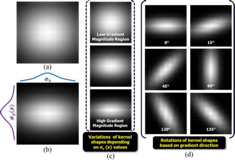 typical kernel shapes a conventional gaussian kernel b adaptive