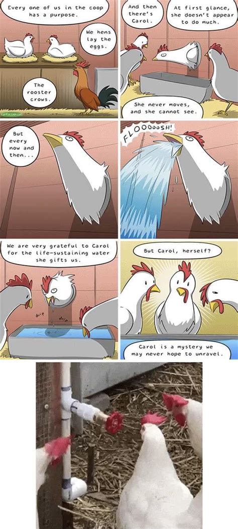 Pin On Animal Humor