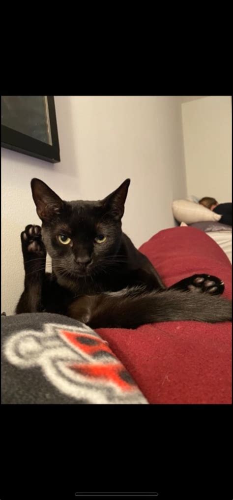 Task Interrupted Beans Rtoebeans