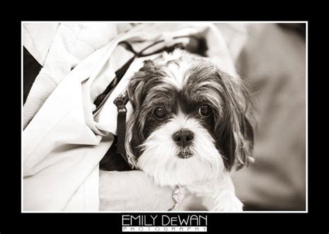 Emily Dewan Photography Inc Wizard Of Oz Emily Dewan Photography Inc Wizard Of Oz