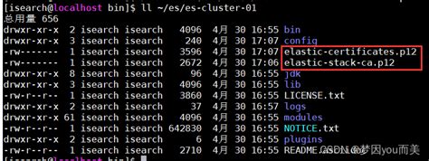 Es集群设置访问密码es设置密码 Csdn博客