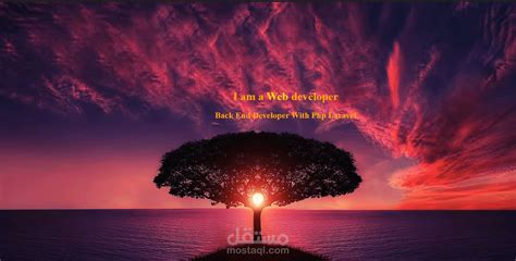 Frontend Project مستقل