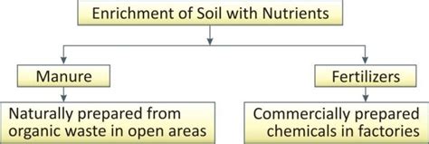 Crop Production And Management Notes Cbse Th ClassCrop Production And Management Notes Cbse Th