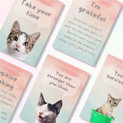 Cats Against Anxiety Cards 50 Self Esteem And Stress Affirmation Cards By Catchyourdreams