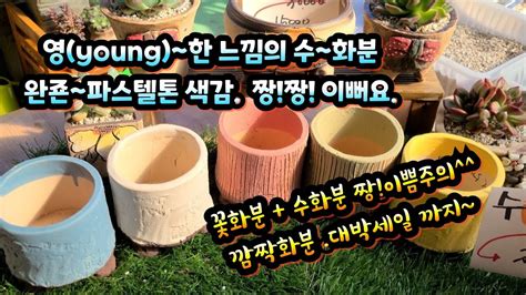 우암도예 협찬 화분 언박싱♥ 파스텔톤 색감이 넘 예뻐요옥상다육 우암도예하늘정원 Youtube
