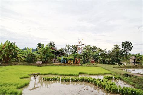 ศูนย์กสิกรรมธรรมชาติสายเพชร ศูนย์กสิกรรมธรรมชาติสายเพชร