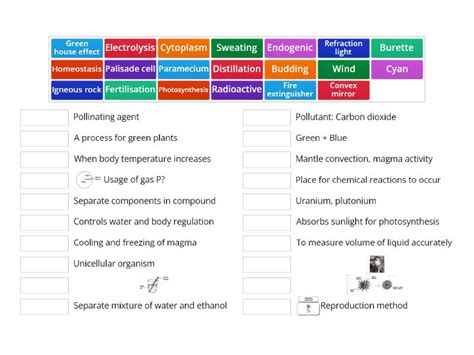 Test 1 Science Form 1 Match Up