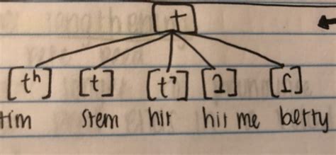 Eng 351 Test 3 Flashcards Quizlet