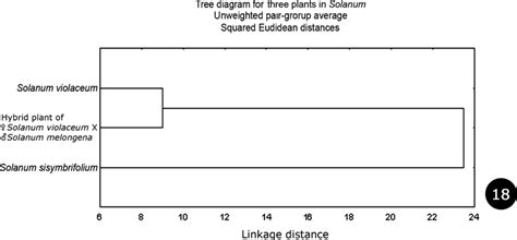 Cluster Analysis By Unweighted Pair Group Method Of Arithmetic Means