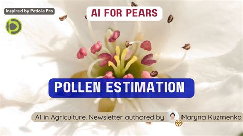 🍐ai For Pears Pollen Estimation Using Yolo For Optimized Collection