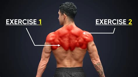 Back Compound Exercises Built With Science