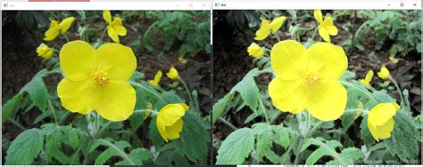 Opencv08：彩色图片直方图 And 直方图均衡化效果opencv C语言彩色直方图均衡化算法 Csdn博客