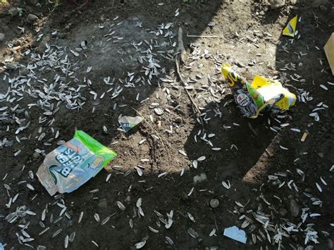 Vladimir Peykov On Linkedin Ако искаме да живеем в хубава държава трябва съзнание и личен