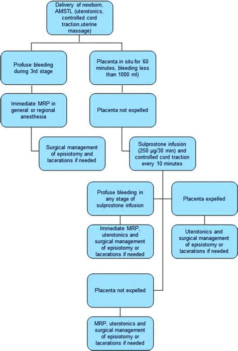 Flow Chart Of The Active Management Of The Third Stage Of Labor Used In