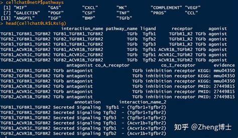 细胞通讯分析（单细胞测序）———cellchat（homo、mus） 知乎