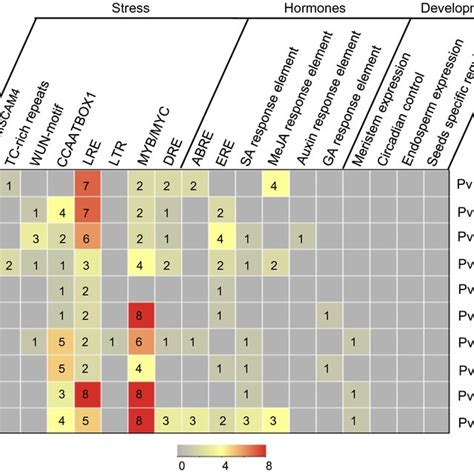 Predicted Cis Regulatory Elements In The Promoter Regions About