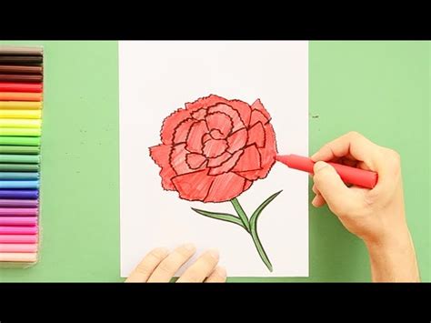 How To Draw The State Flower Of Indiana Step By Step Infoupdate Org