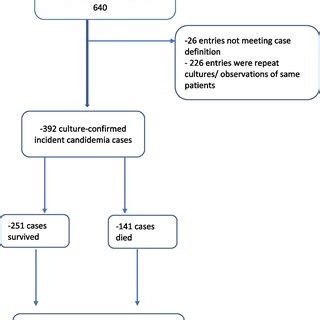 Flow Chart Of Data Collection Data Cleaning And Analysis Download Scientific Diagram