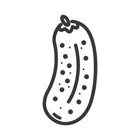 Premium Vector Line Drawing Of A Cucumber With A Stem