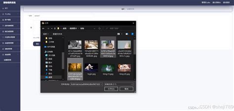 【开题报告】ssm宠物领养系统z6rfy计算机毕业设计程序 csdn博客