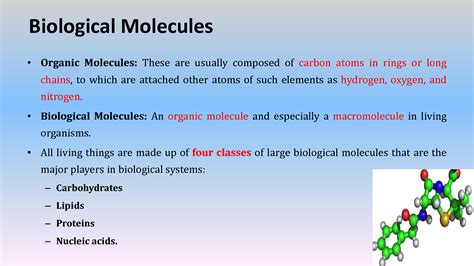 Solution Biomolecules And Its Classification Studypool