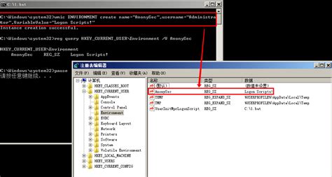 Windows权限维持之logonscripts Anonysecblog