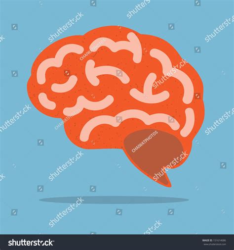 Brain Vector 151614686 Shutterstock