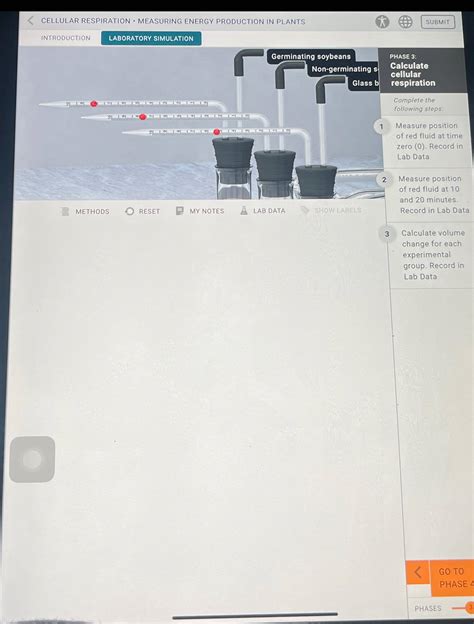 Solved Cellular Respiration Measuring Energy Production In
