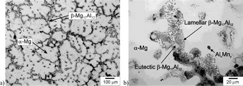 Magnesium Microstructure In As Cast State Download Scientific Diagram