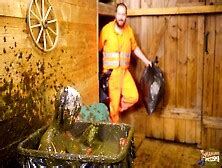 Manure Tube Search Videos Page