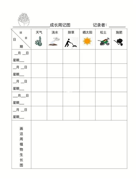 植物观察记录表中班 中班观察记录表 观察记录表植物 大山谷图库