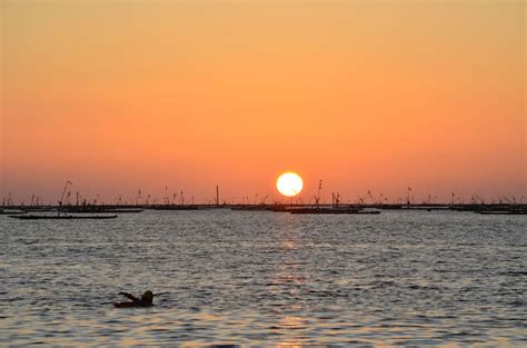 夕陽 GANREF