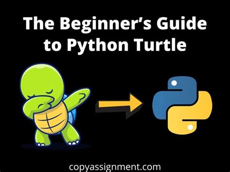 The Beginners Guide To Python Turtle Copyassignment