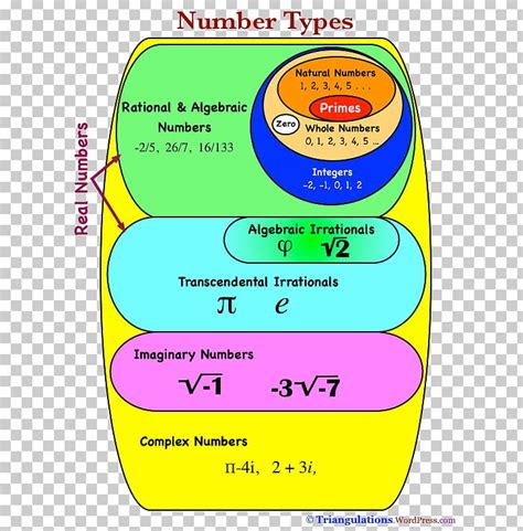 venn diagram real number chart png clipart algebraic number area chart complex number