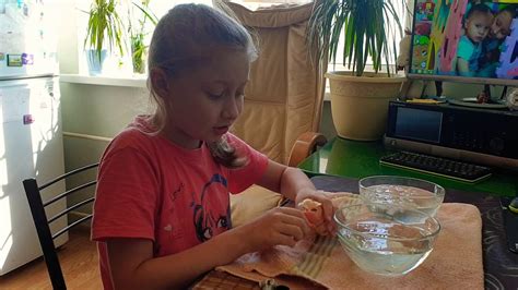 Смотрим как куколка меняет цвет Youtube