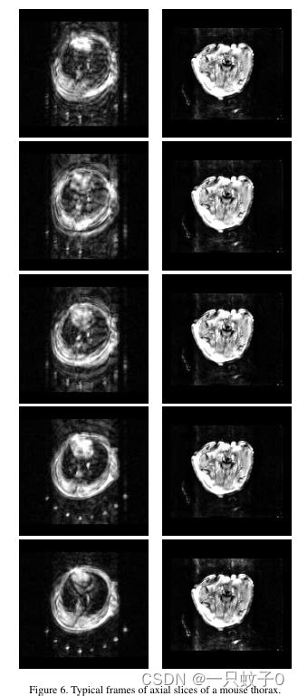 《efficient filter flow for space variant multiframe blind deconvolution》 csdn博客