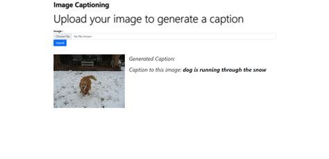 Github Nomanbaig Image Caption Generator Web App Image Caption Generator Web App Python