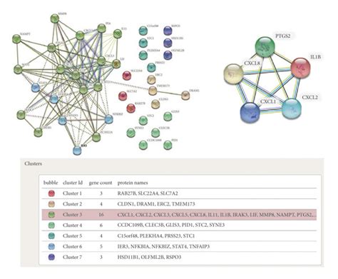 Protein Protein Interaction Ppi Network And The Enrichment Analyses