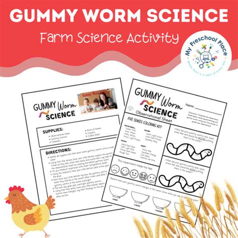 Gummy Worm Science Activity By My Preschool Place Tpt