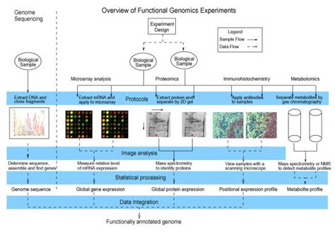 The Shared Components In Different Types Of Functional Genomics Download Scientific Diagram