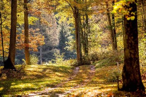 「leetcode」513找树左下角的值 知乎