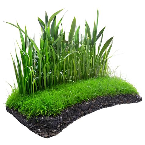 Grass Patch Png Images 100