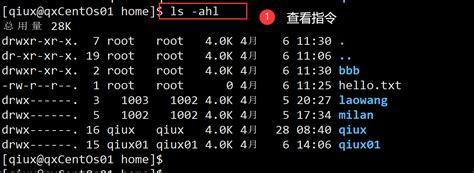 Linux—实操篇：组管理和权限管理linux组操作 Csdn博客