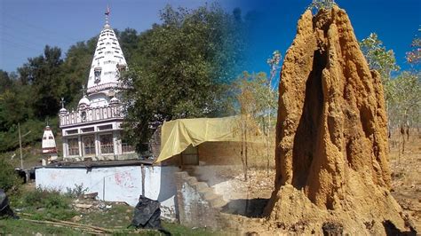 Goddess Nagni Temple At Kangra Worshipping This Goddess Can Help You